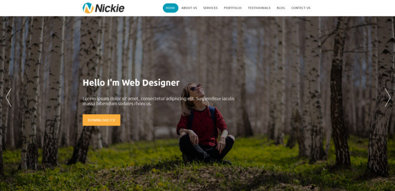 50 fresh Personal Website Templates 2024 – freshDesignweb
