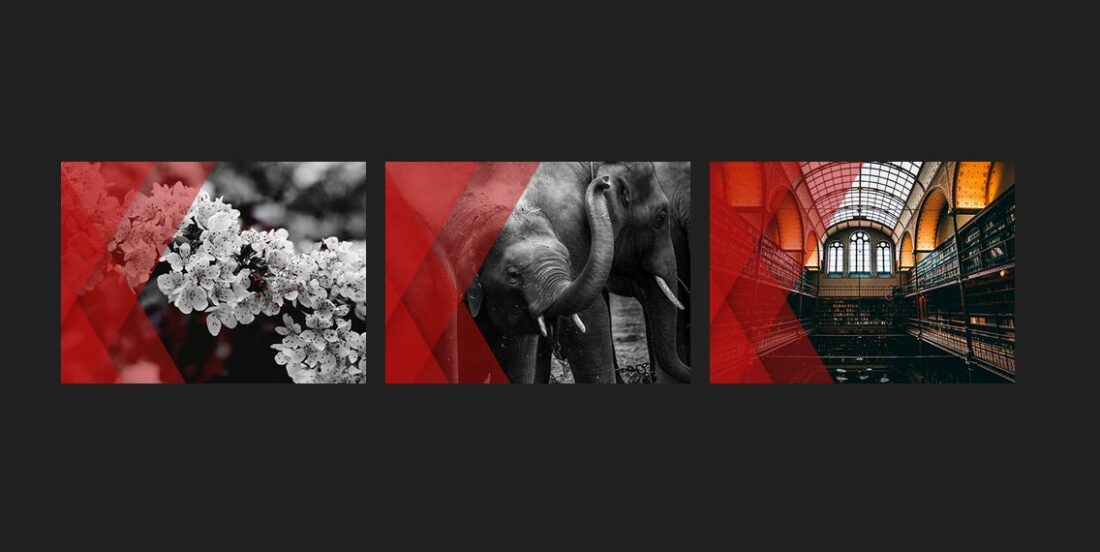 57 Best Free CSS Image Hover Effects - freshDesignweb