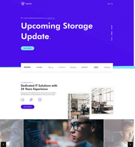 30 Best IT Company Website Templates 2024 - freshDesignweb