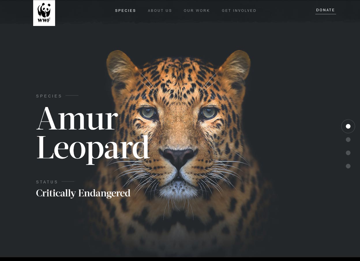 90+ Free HTML & CSS Image Slider & Slideshow for 2025 - freshDesignweb